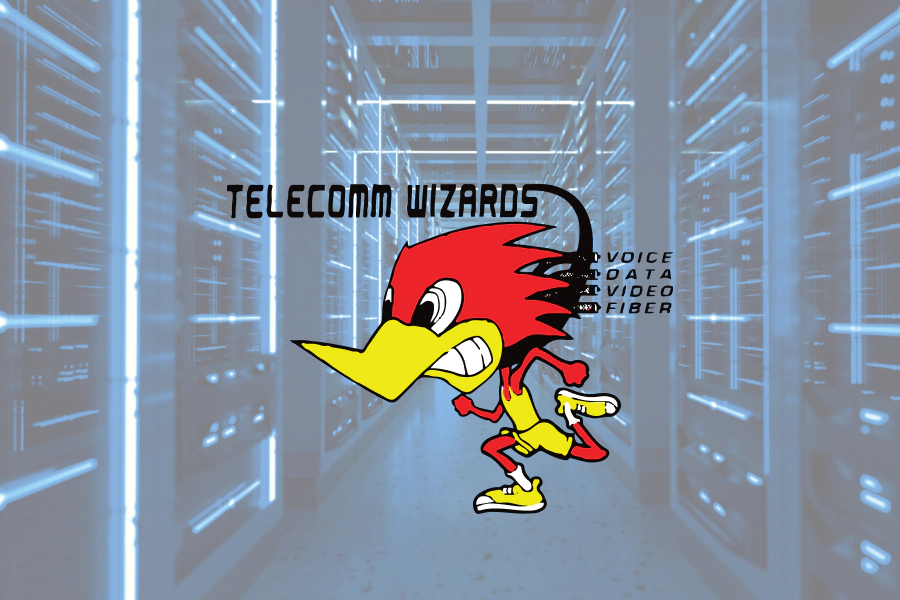 Telecom Service Provider Fort Worth, TX | Telecomm Wizards
